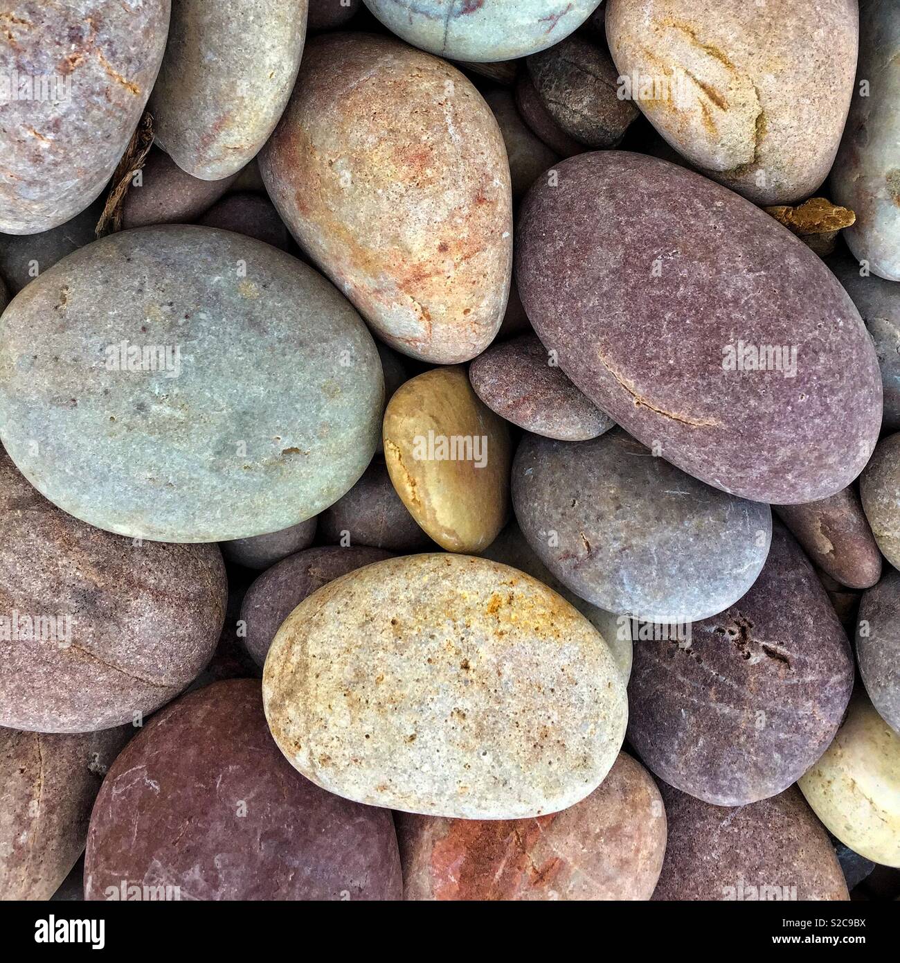 Pebbles on a beach in Devon, England Stock Photo - Alamy
