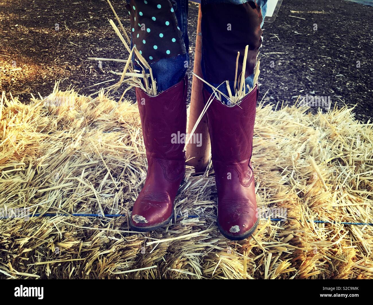 A pair of cowboy boots and patchwork denim jeans worn by a scarecrow ...