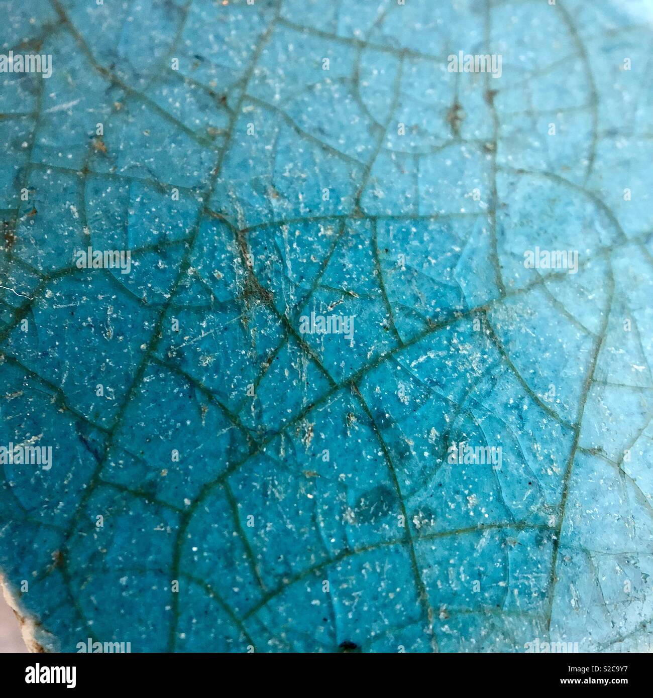 Grazed hi-res stock photography and images - Alamy