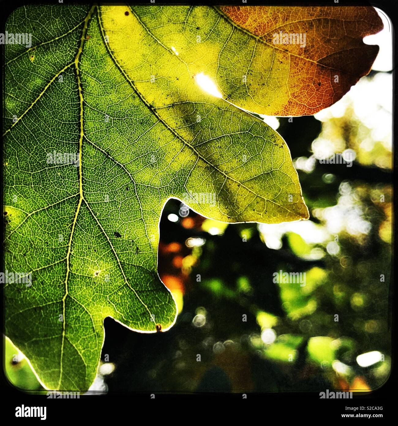 Signs of autumn hi-res stock photography and images - Alamy