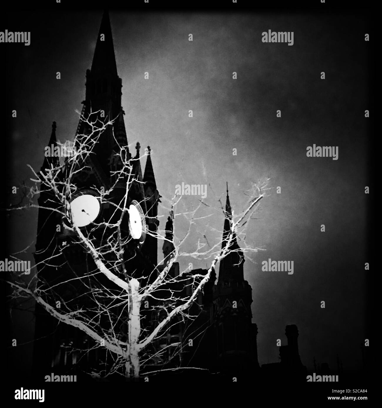 Gothic tree silhouette hi-res stock photography and images - Alamy