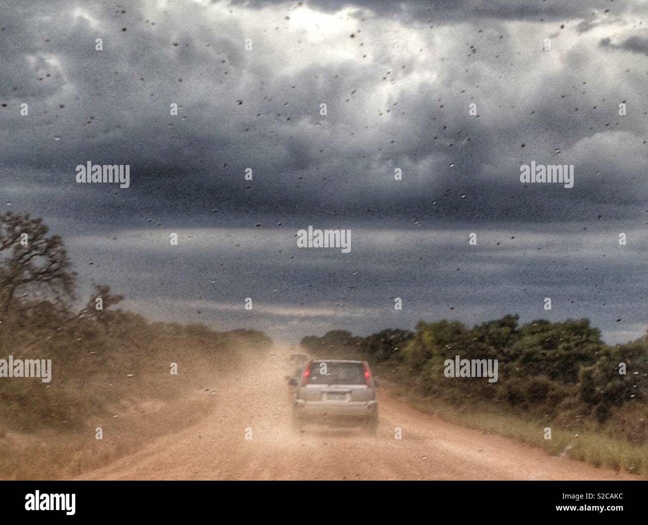 Into The Bush Stock Photo - Alamy