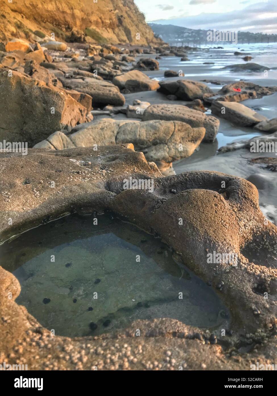 Beach tidepools hi-res stock photography and images - Alamy