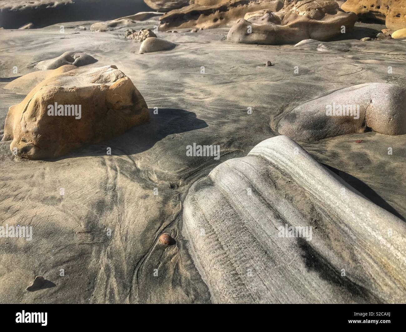 Nature realms hi-res stock photography and images - Alamy