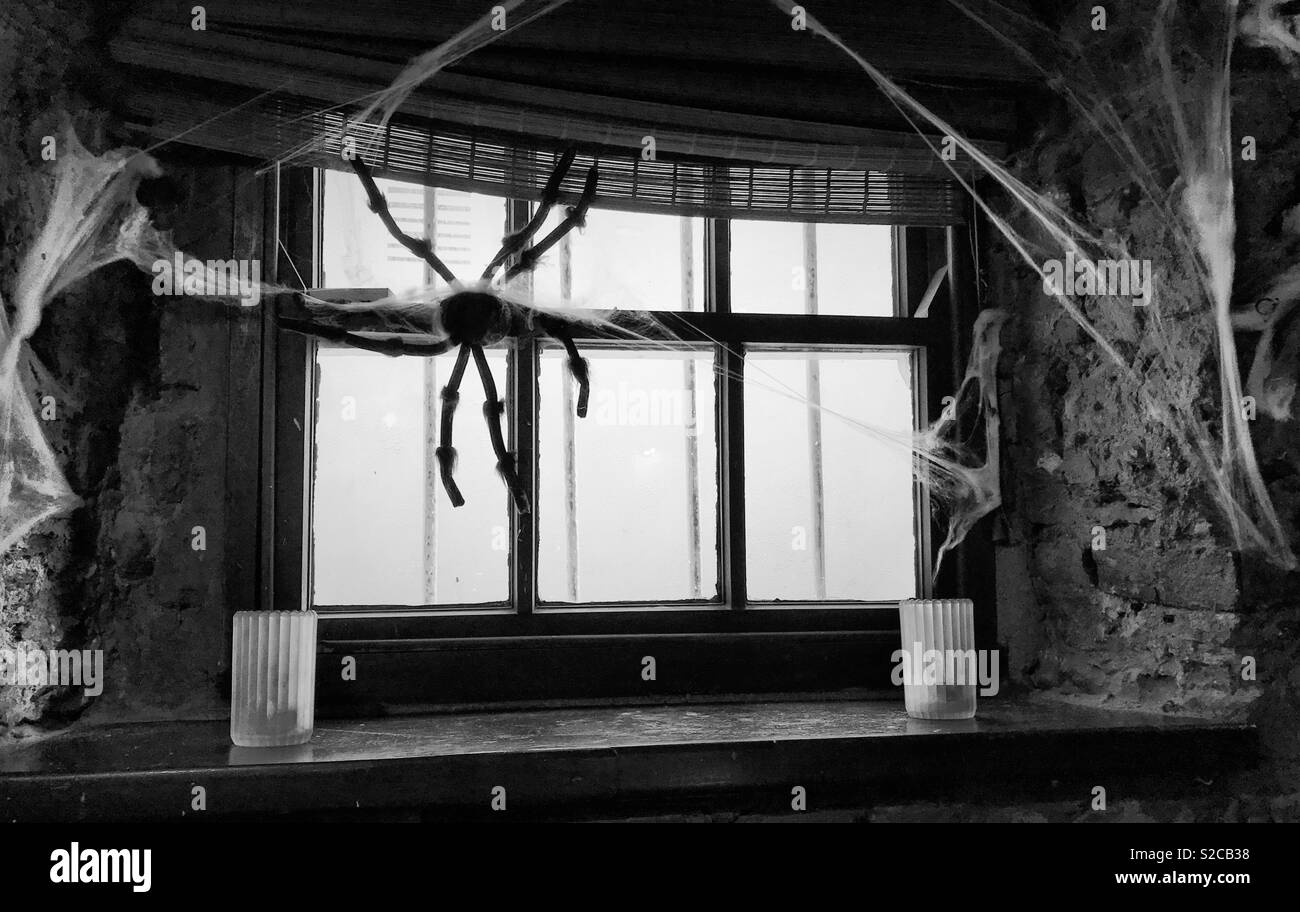 Spider Window Black and White Stock Photos & Images - Alamy