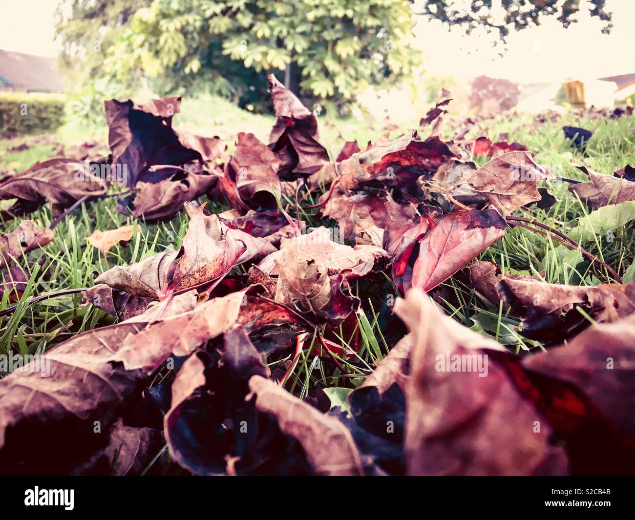 Signs of autumn hi-res stock photography and images - Alamy
