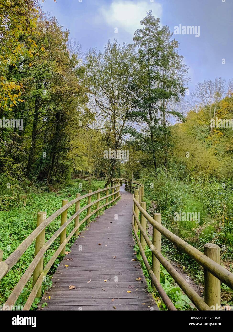 Wepre park, Flintshire Stock Photo - Alamy