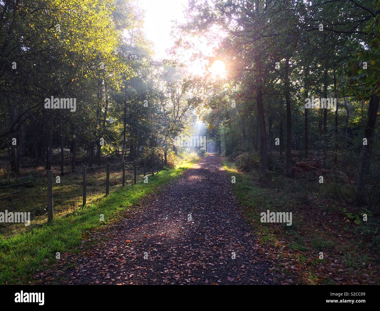 Walk in sunshine hi-res stock photography and images - Alamy