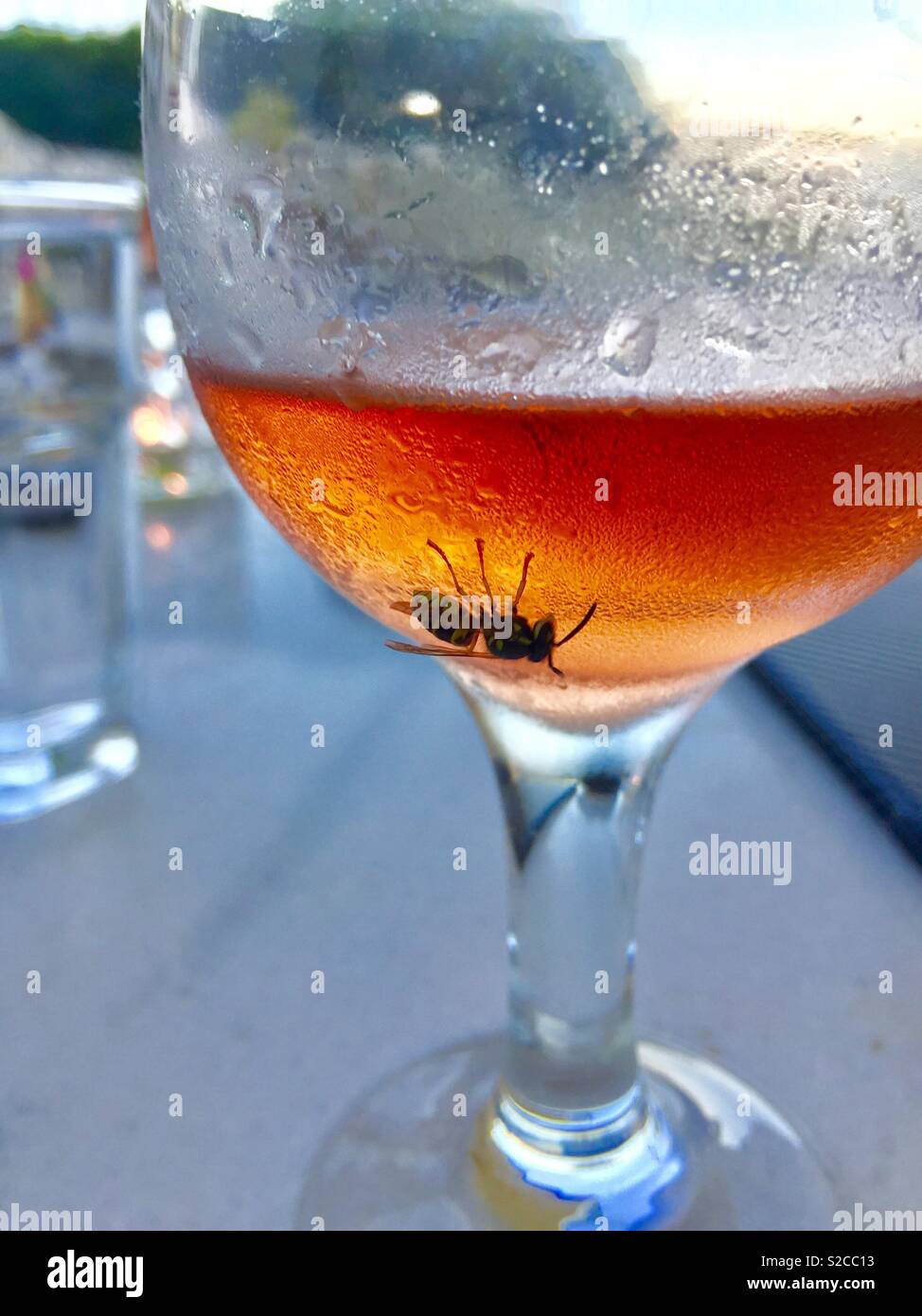 Wasp alcohol hi-res stock photography and images - Alamy