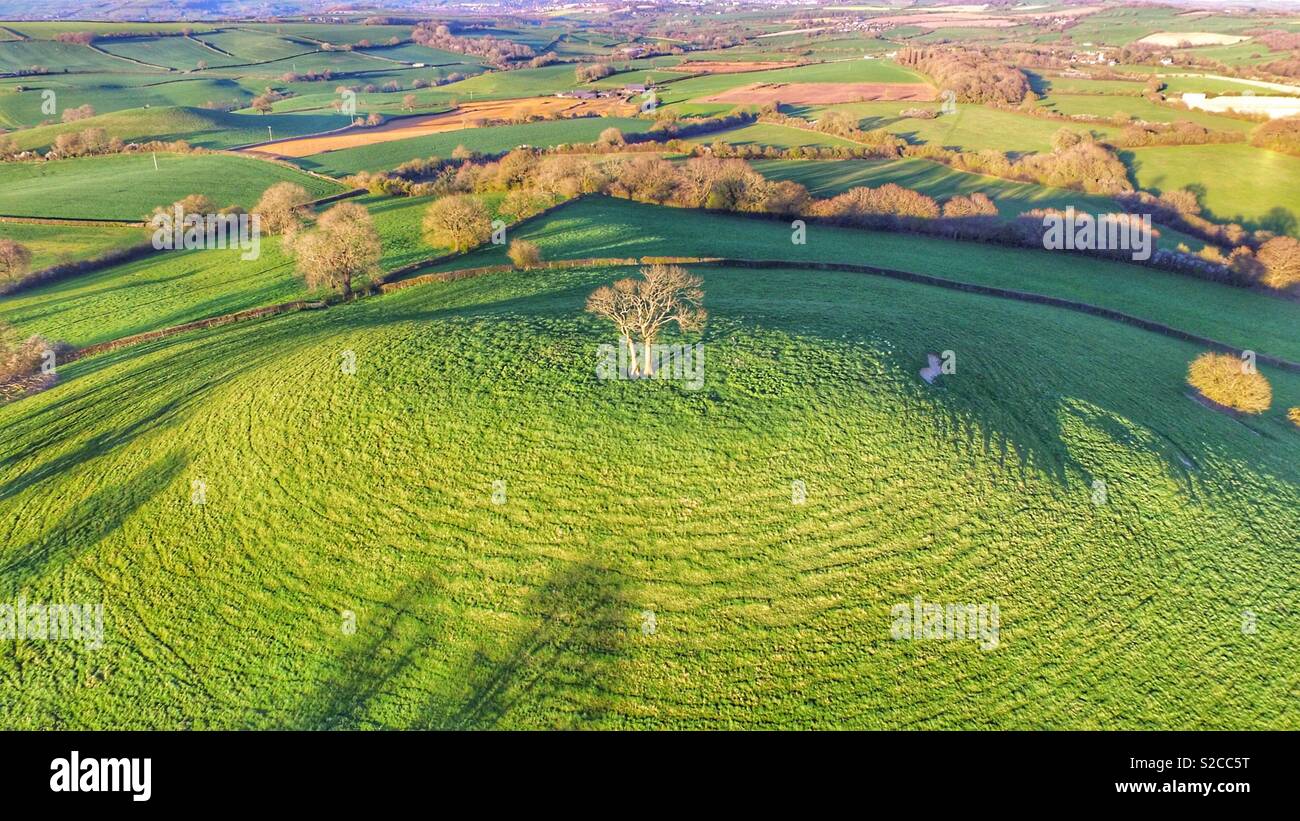 Two tree hill on farmborough common just outside the city of Bath Stock ...