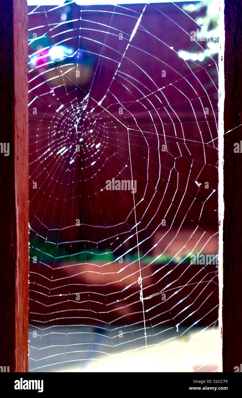Spider web garden gate hi-res stock photography and images - Alamy