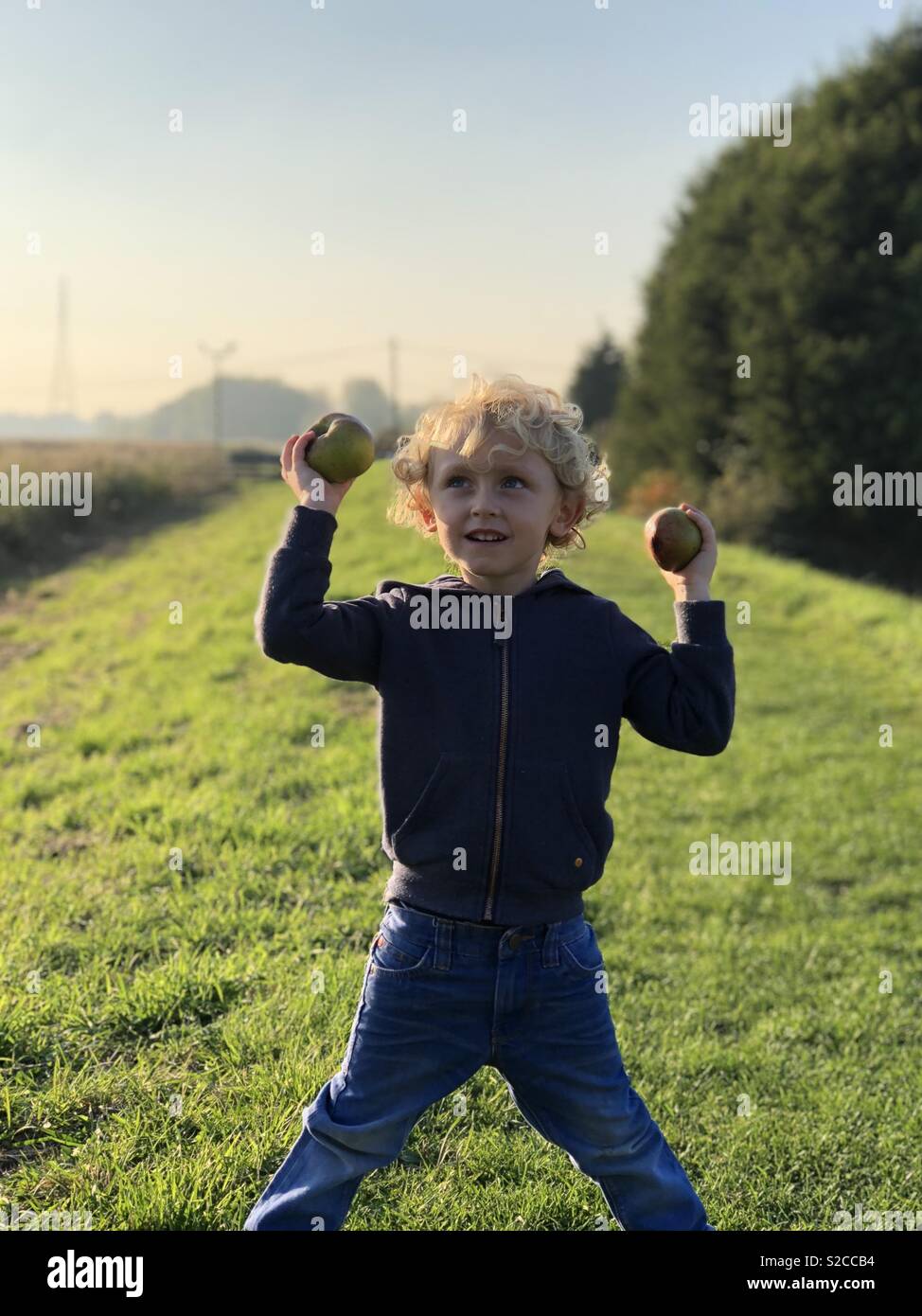 Little boy having fun picking apples Stock Photo - Alamy