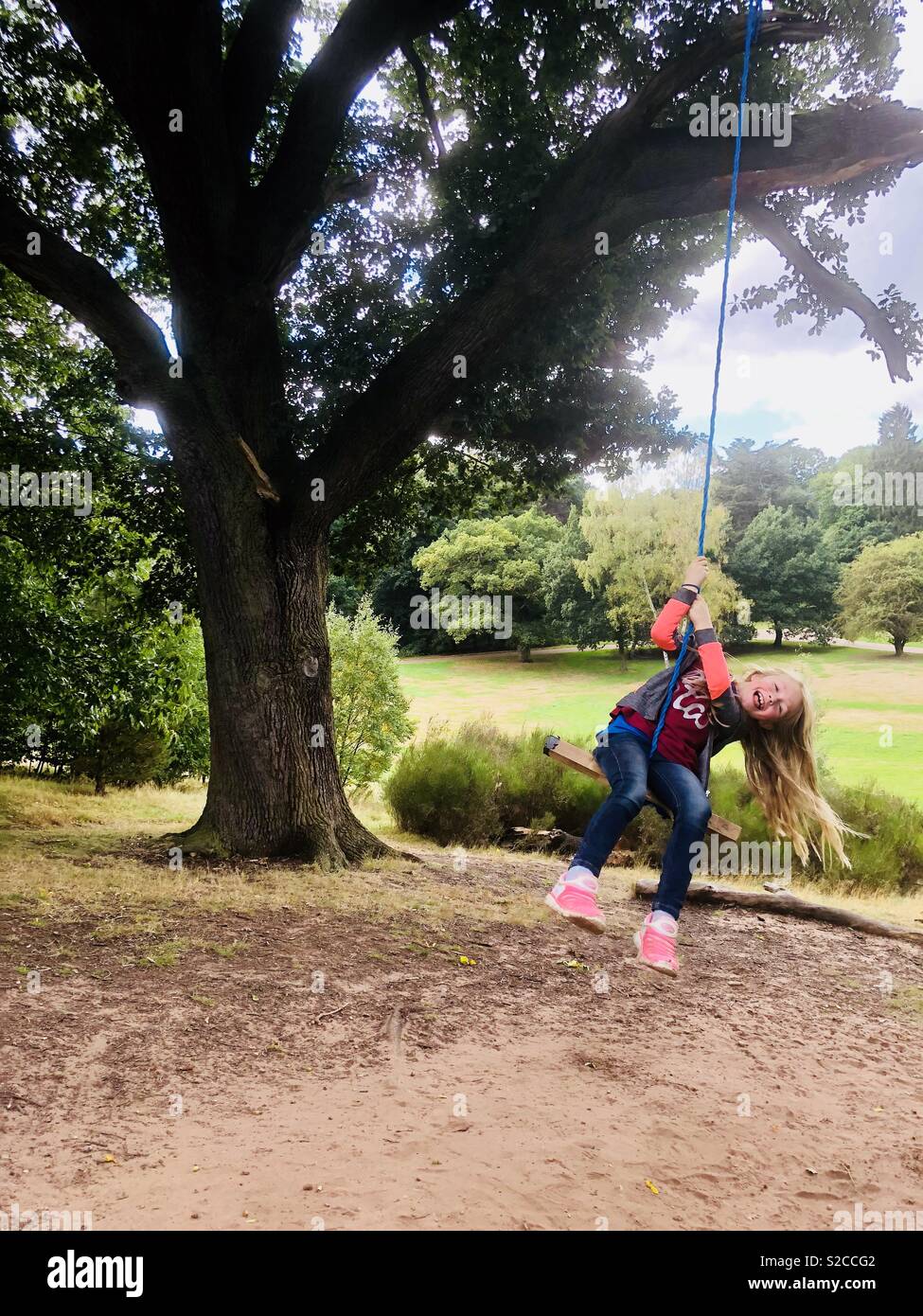 Tree Swing High Resolution Stock Photography and Images - Alamy