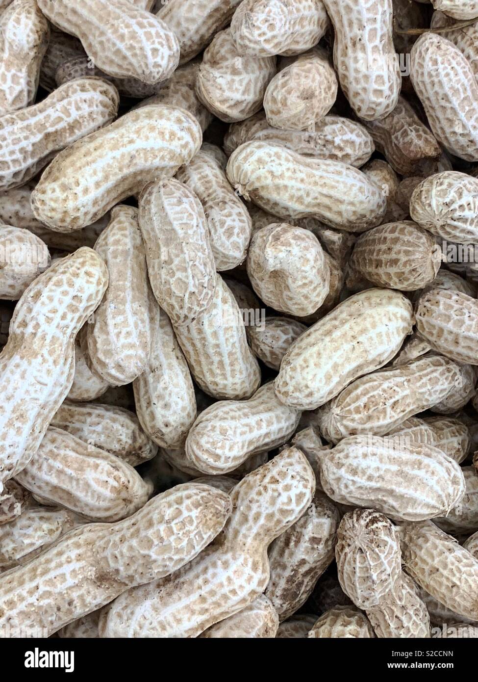 Georgia Peanuts High Resolution Stock Photography and Images - Alamy