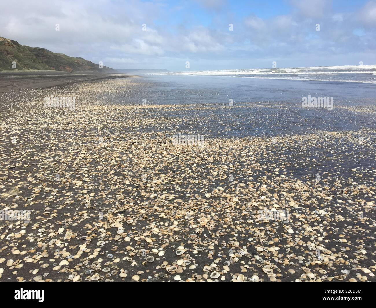 Full of shells hi-res stock photography and images - Alamy
