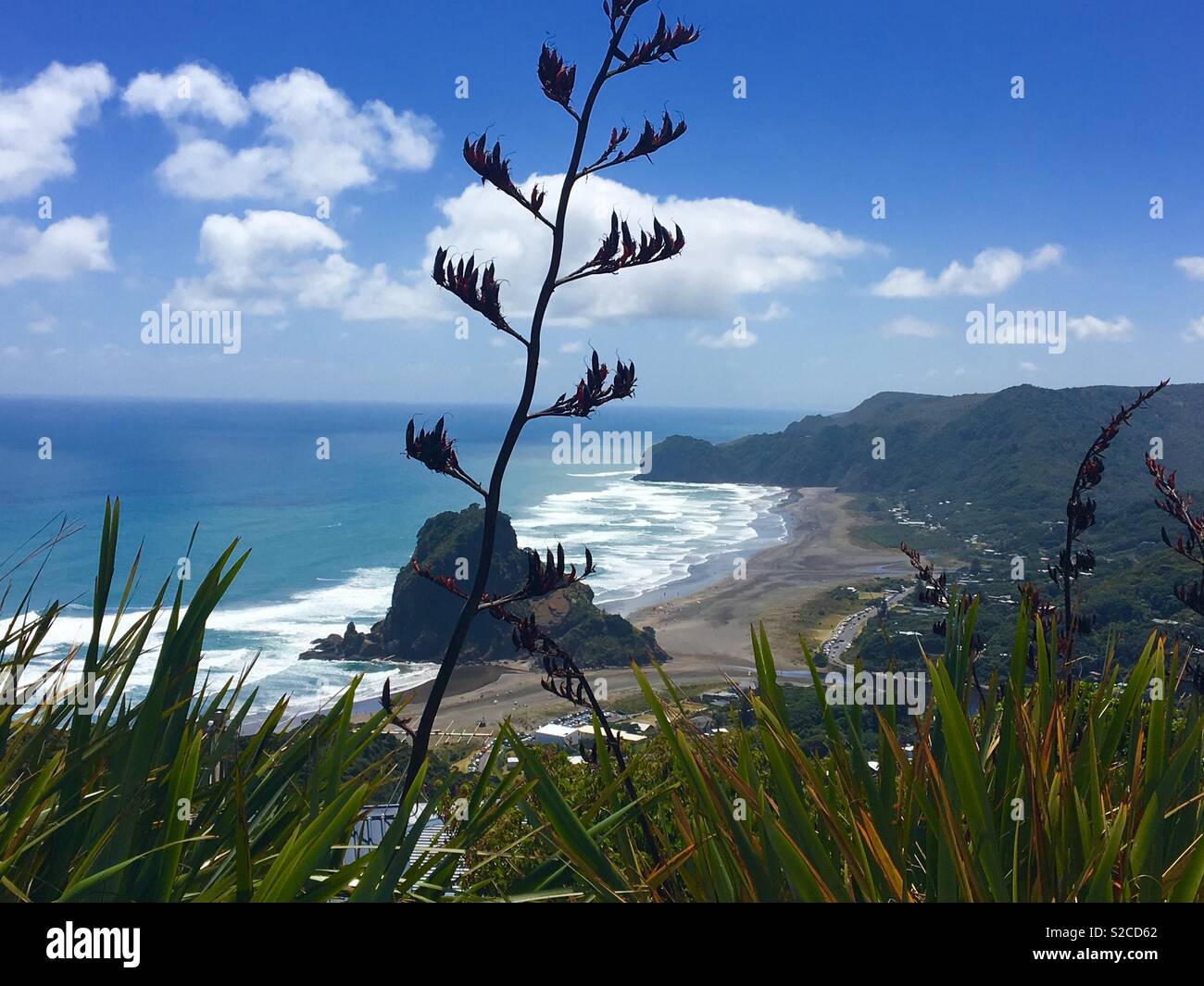 Piha Beach New Zealand High Resolution Stock Photography and Images - Alamy