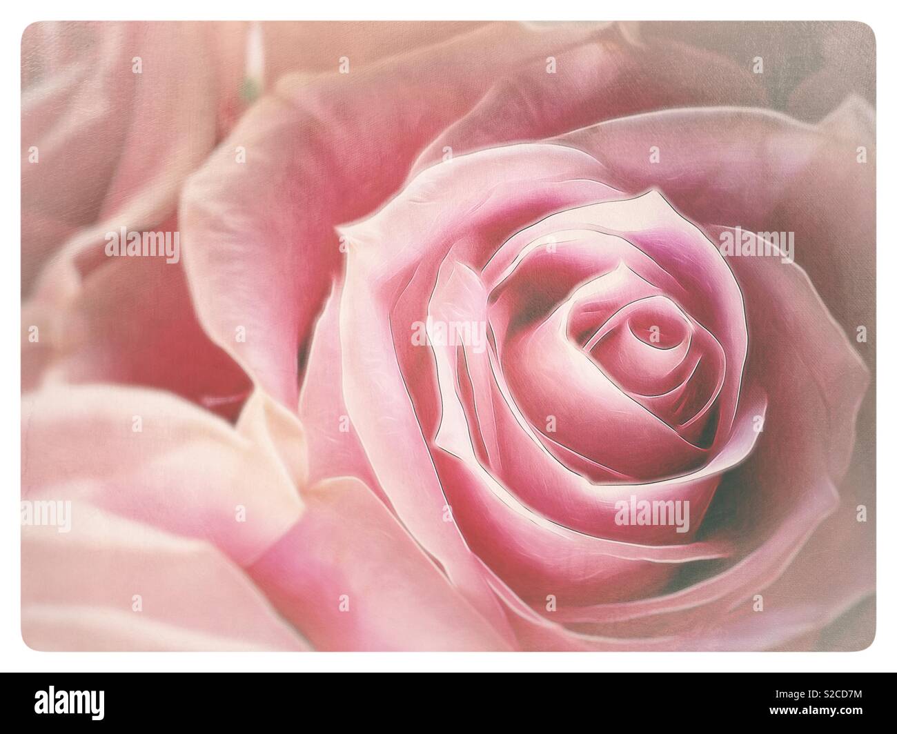 Delicate aesthetic hi-res stock photography and images - Alamy