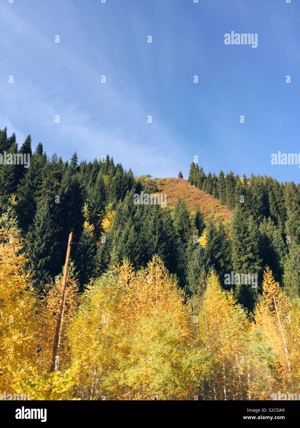 Nature during fall Stock Photo - Alamy