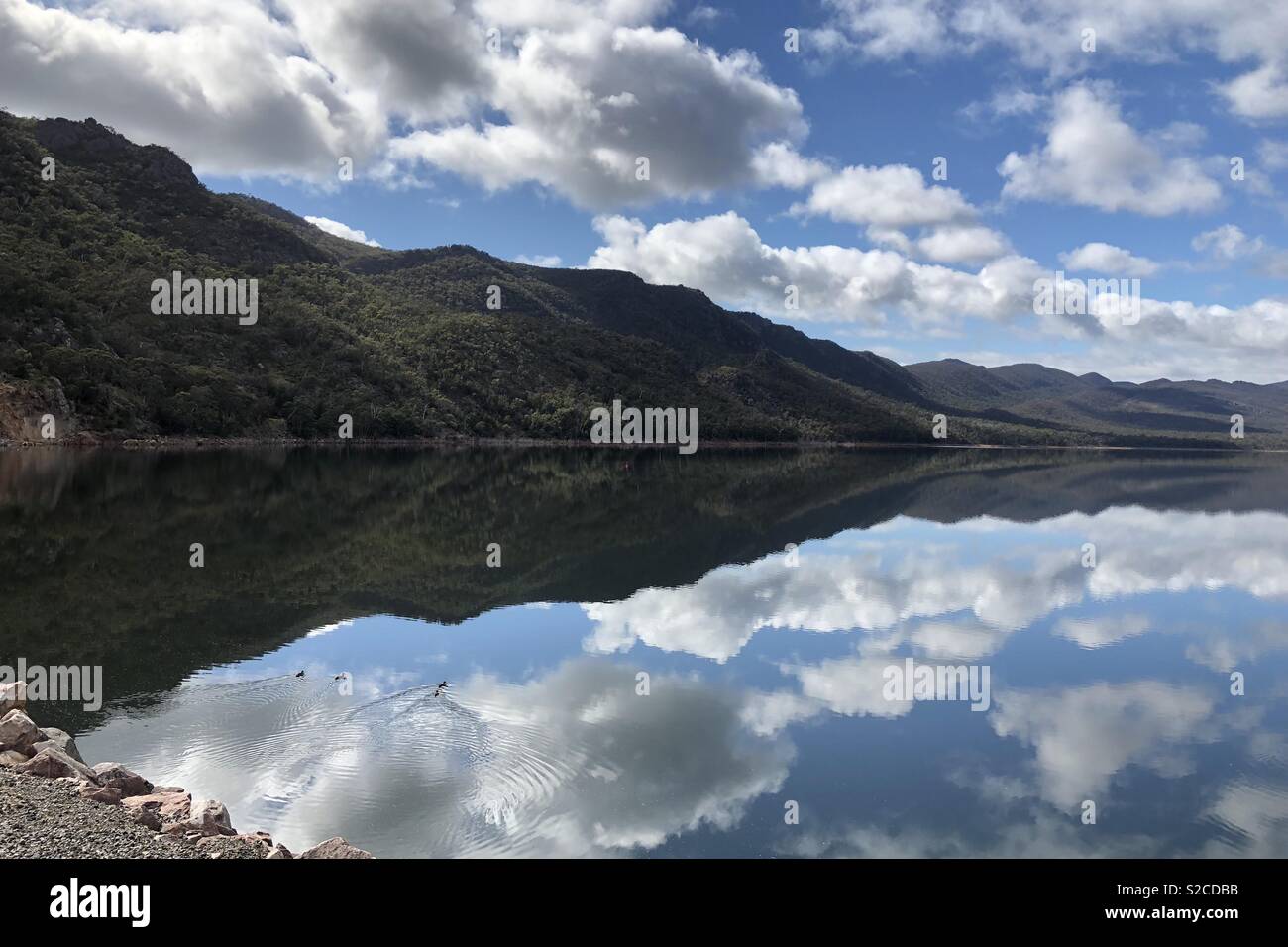 Bellfield High Resolution Stock Photography and Images - Alamy