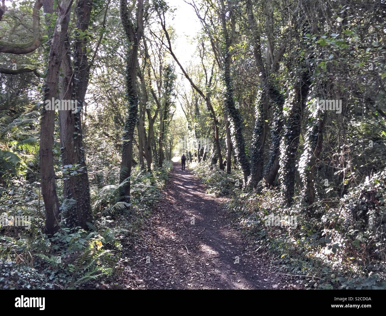 Cinder path hi-res stock photography and images - Alamy