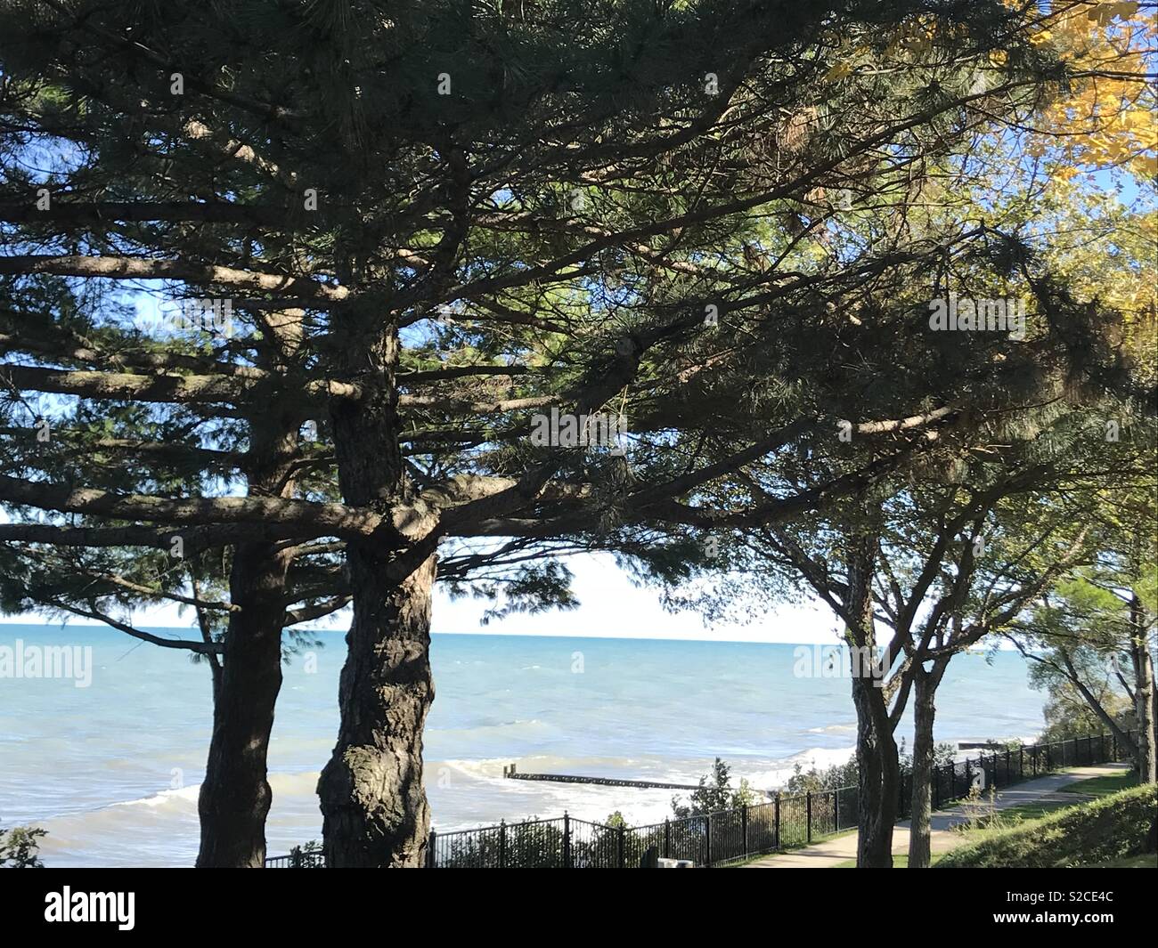 Lake Michigan View Through the Trees Stock Photo - Alamy