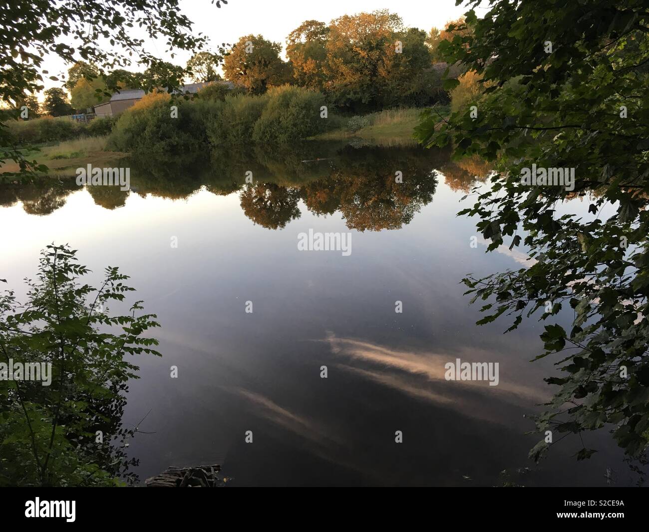 Summer reflection over water Stock Photo - Alamy