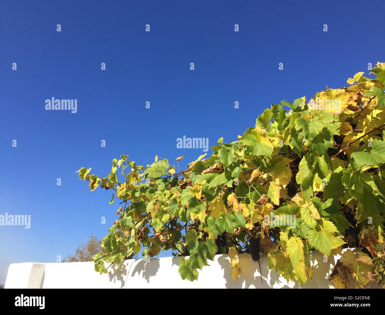 Deep blue sky autumn hi-res stock photography and images - Alamy