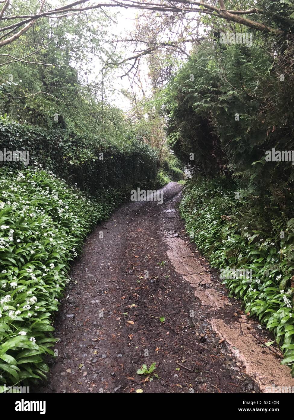 Bend of road hi-res stock photography and images - Alamy