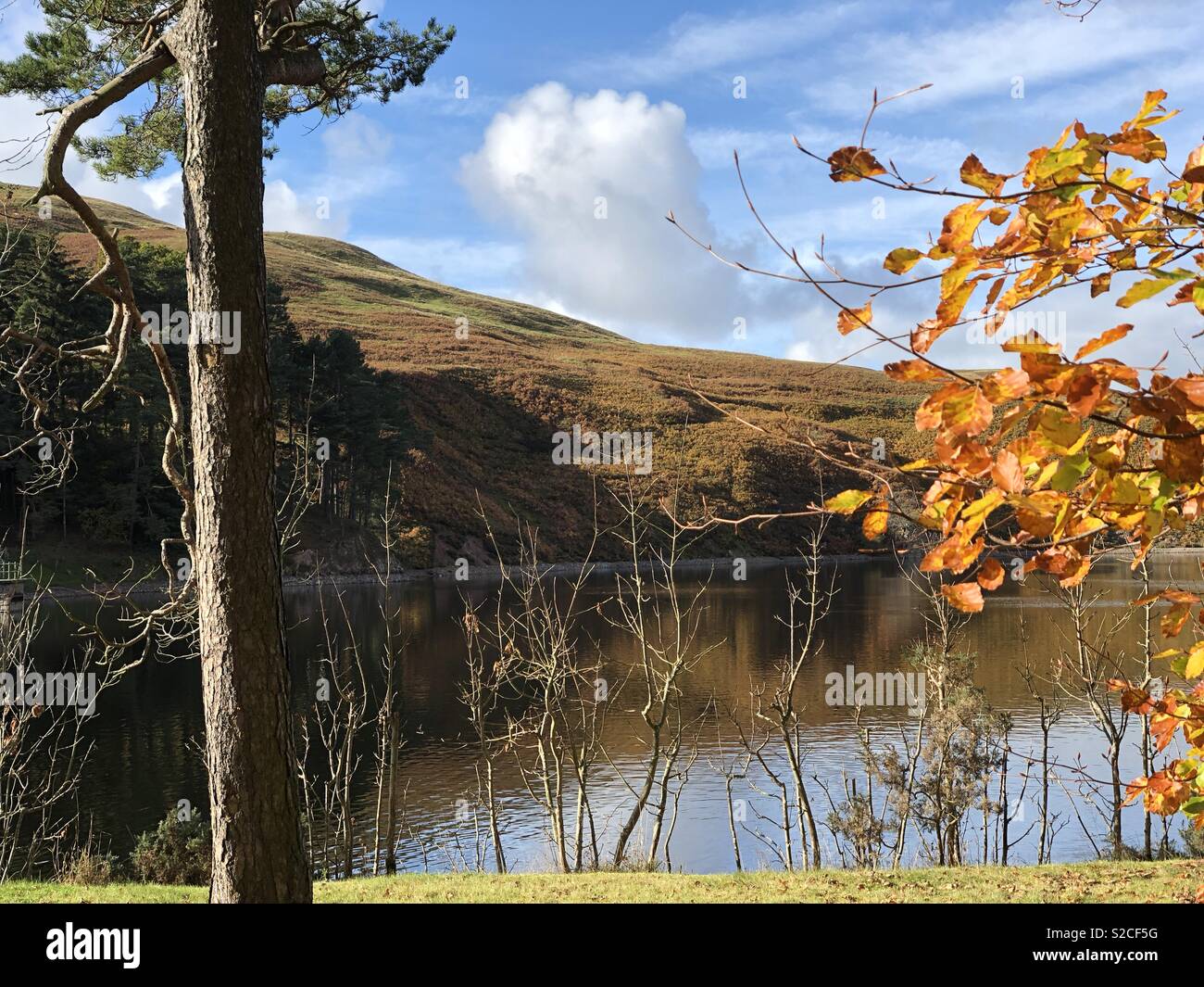 Pentlands edinburgh hi-res stock photography and images - Alamy