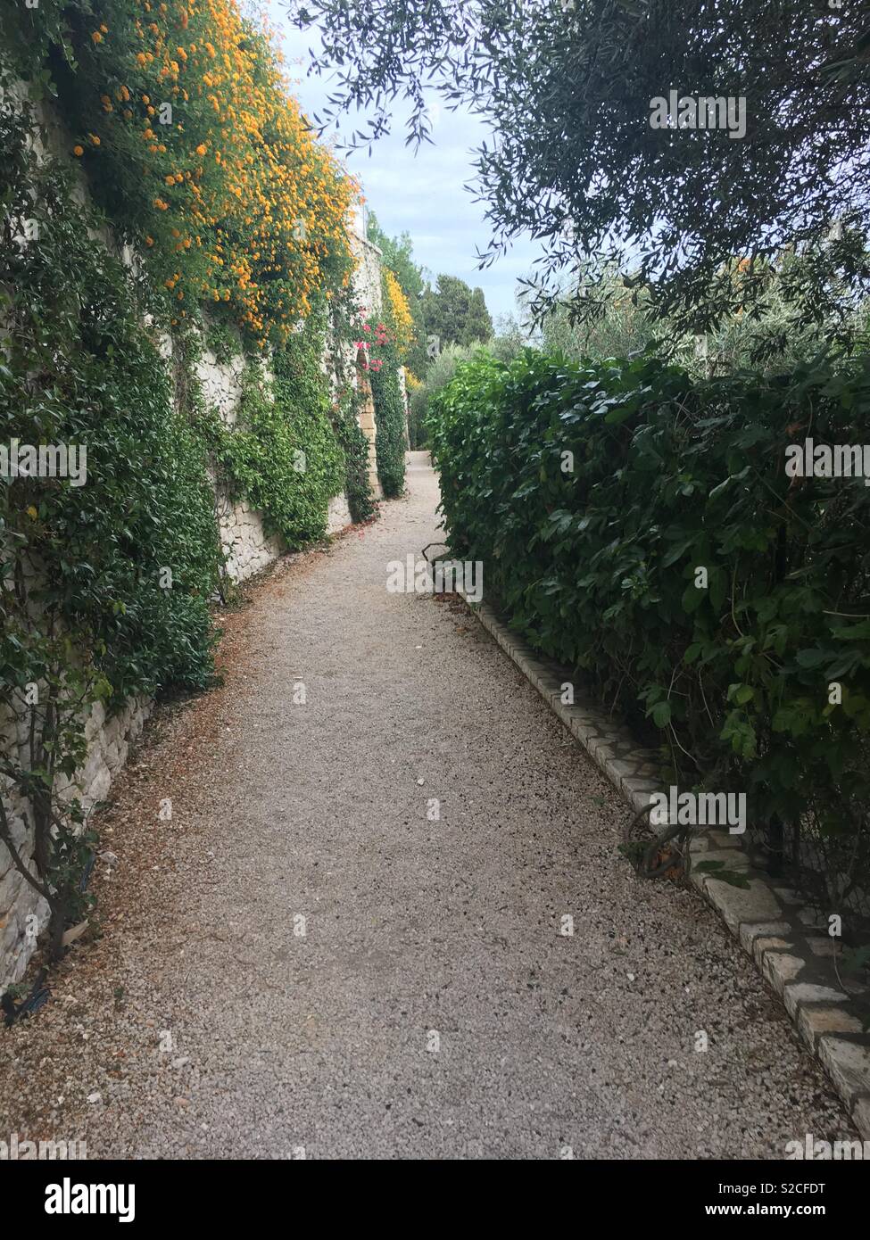 Beautiful nature path Stock Photo - Alamy
