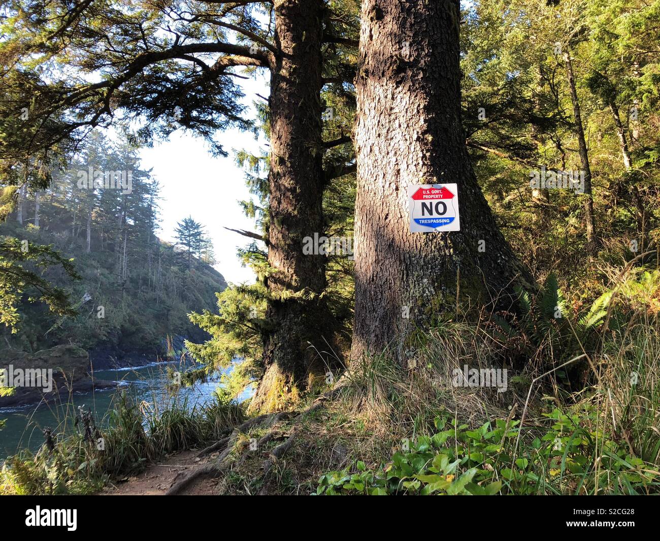 A no trespassing sign nailed to a tree on U.S. government property ...