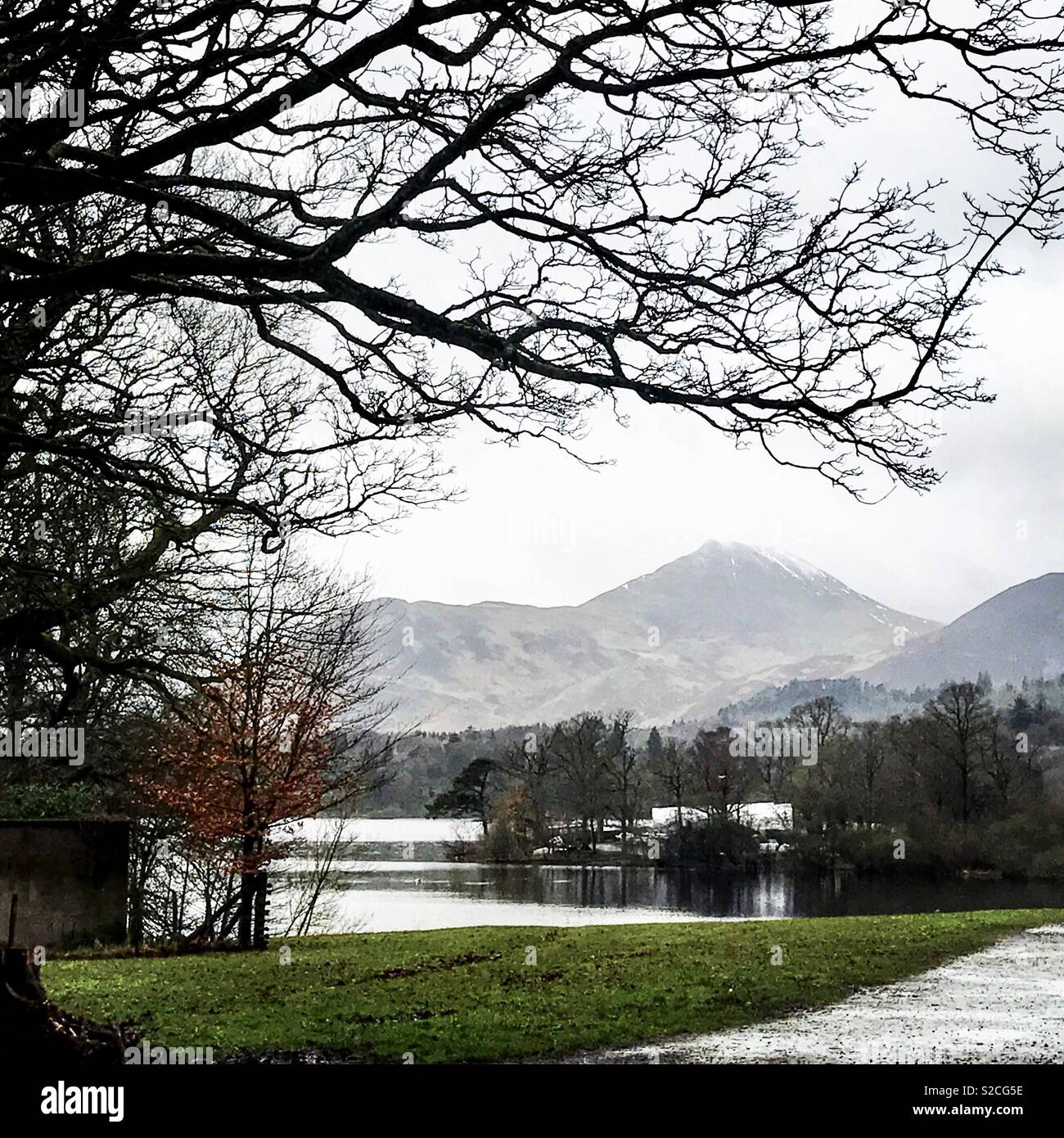 Sky trees and lakes hi-res stock photography and images - Alamy