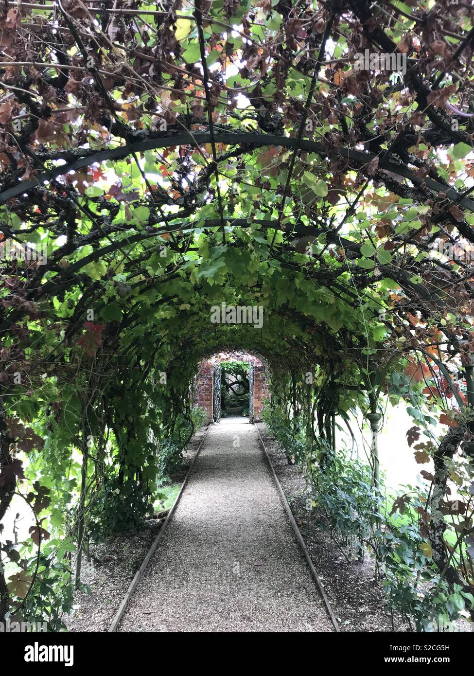 Garden tunnel hi-res stock photography and images - Alamy