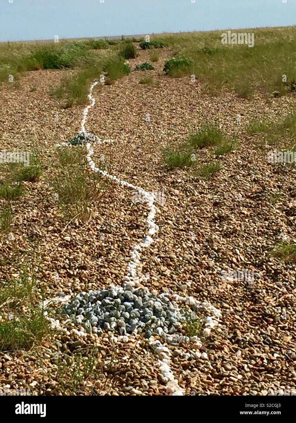 Shell Line Shingle Street Suffolk Stock Photo - Alamy