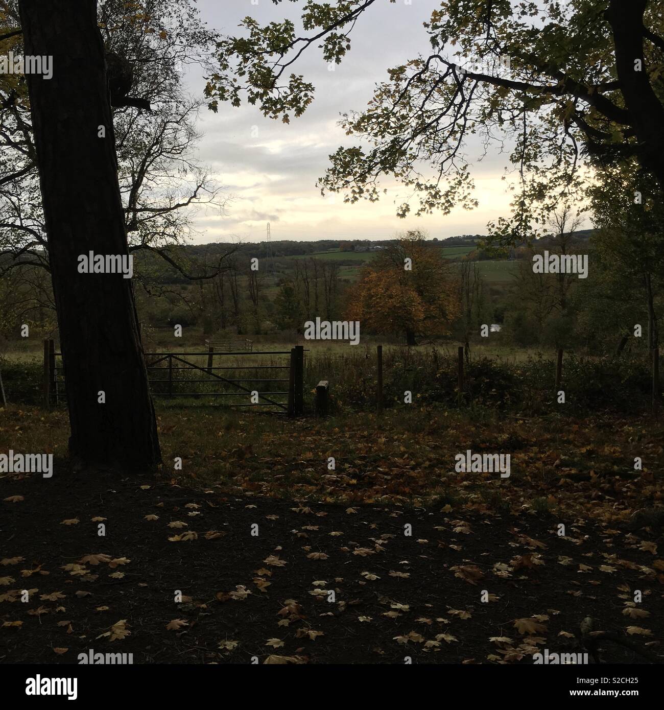 Baron's haugh hi-res stock photography and images - Alamy