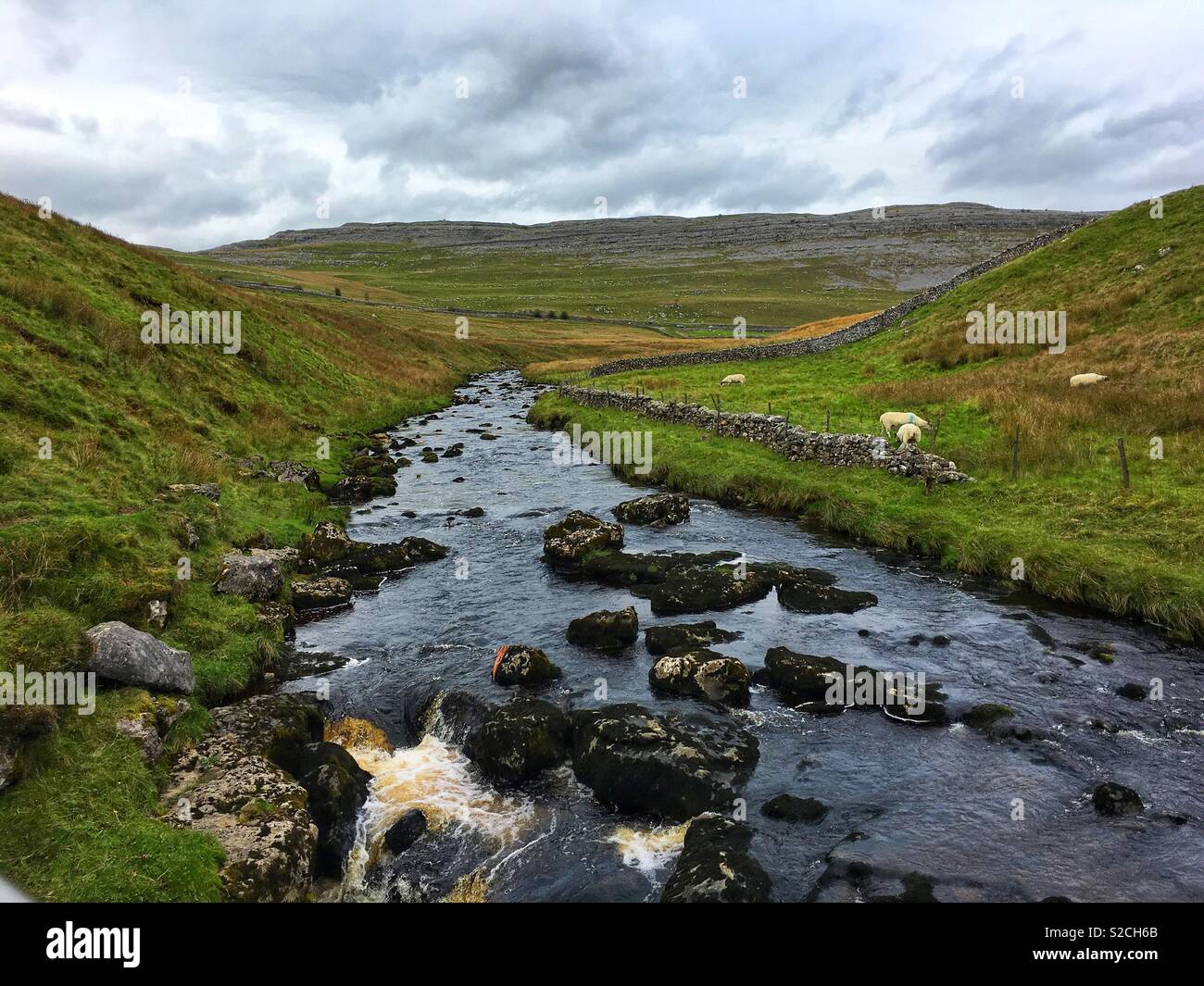 Ingleton yorkshire sheep hi-res stock photography and images - Alamy