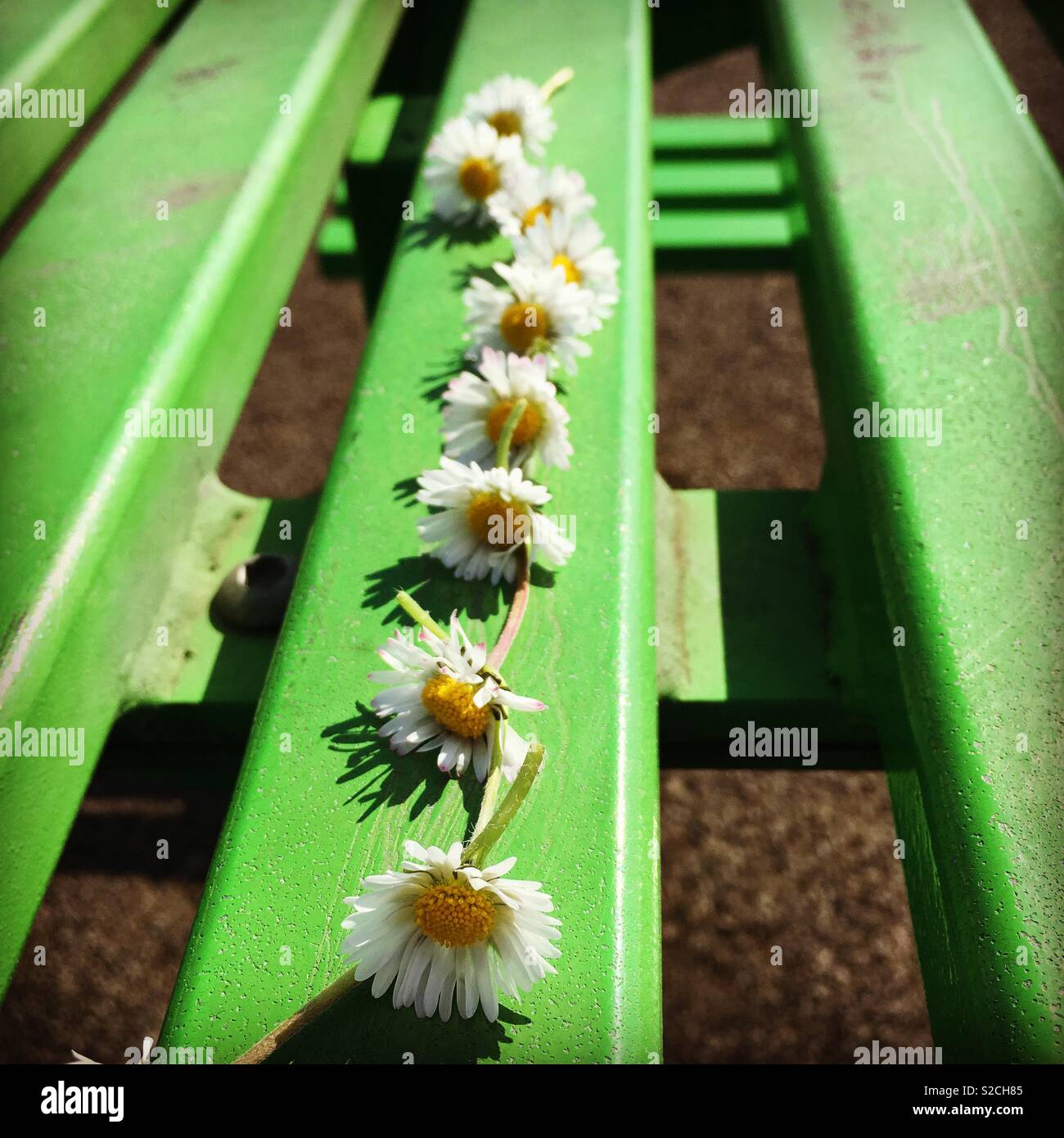 Daisy chain hi-res stock photography and images - Alamy