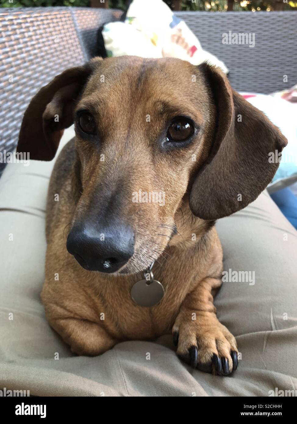 Sweet face hi-res stock photography and images - Alamy