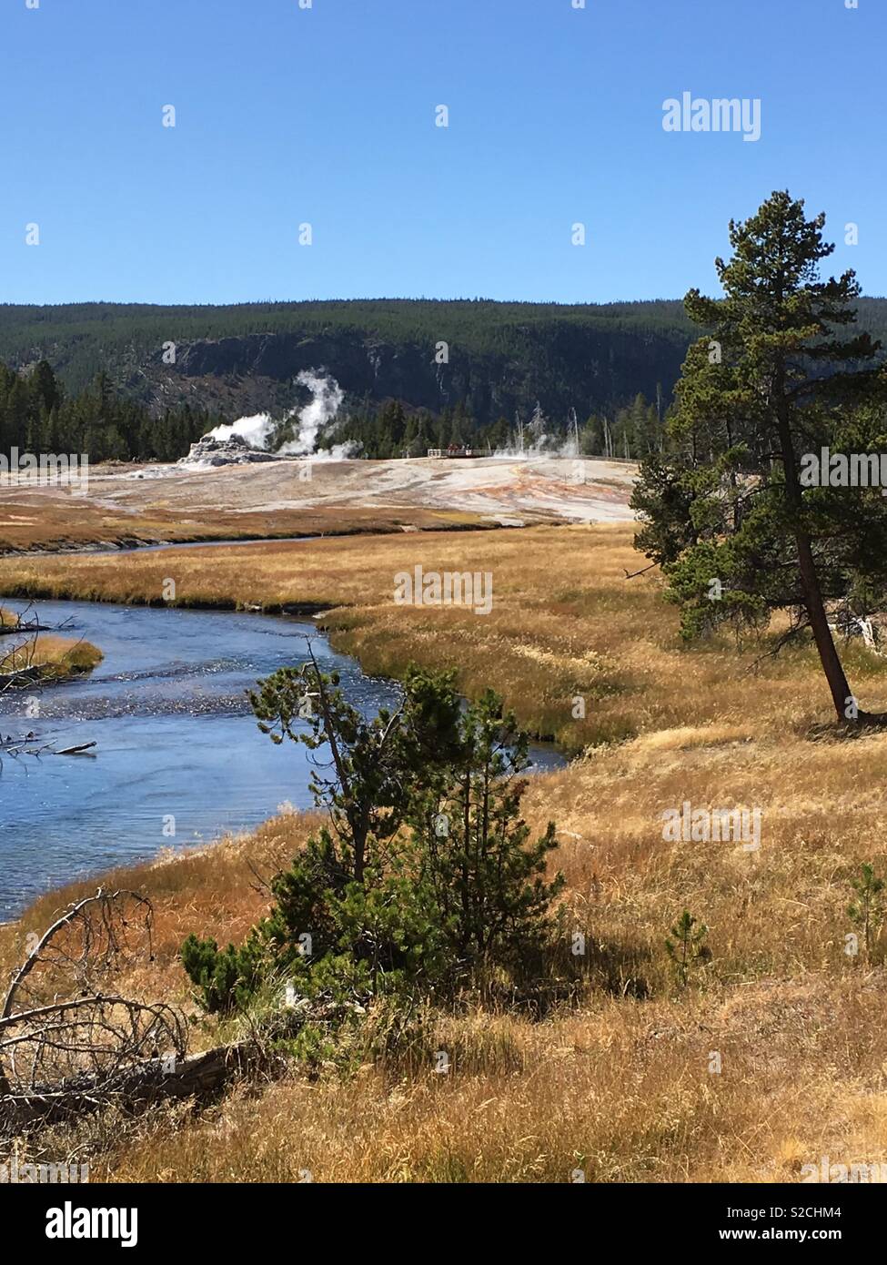 Yellow Stone Park national park Stock Photo - Alamy