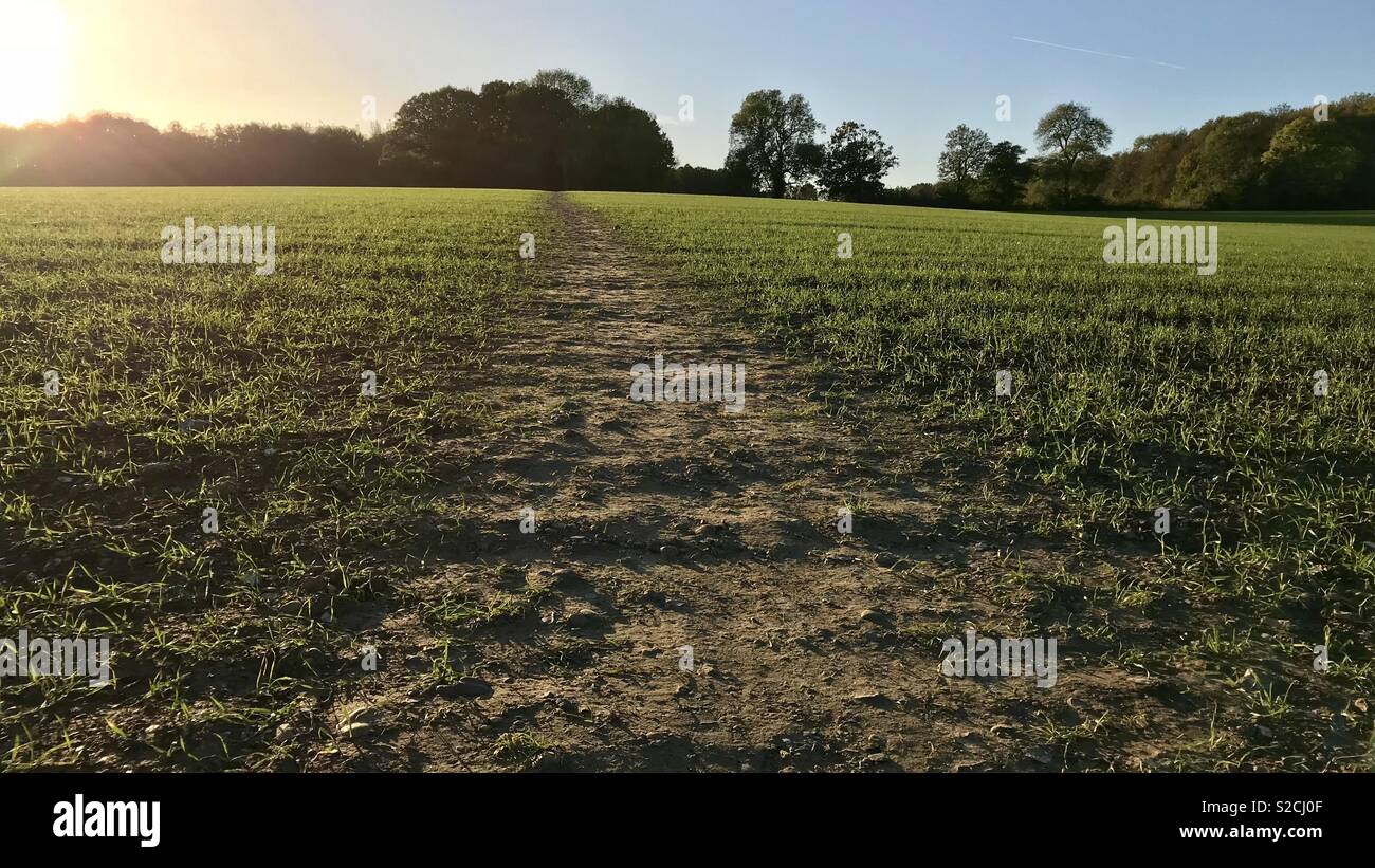 Croxley green watford hi-res stock photography and images - Alamy