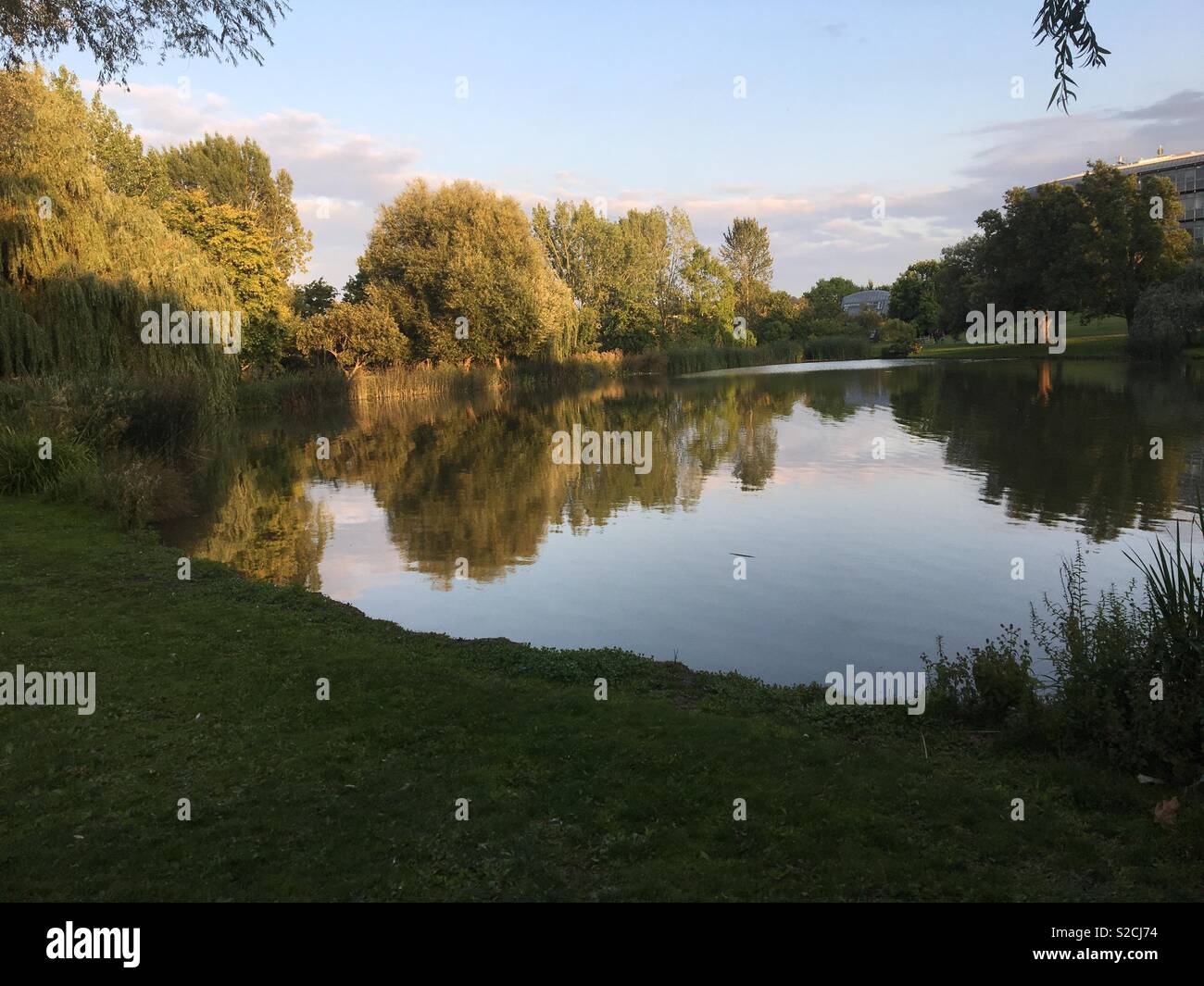 University of Surrey Lake, Guildford Stock Photo - Alamy