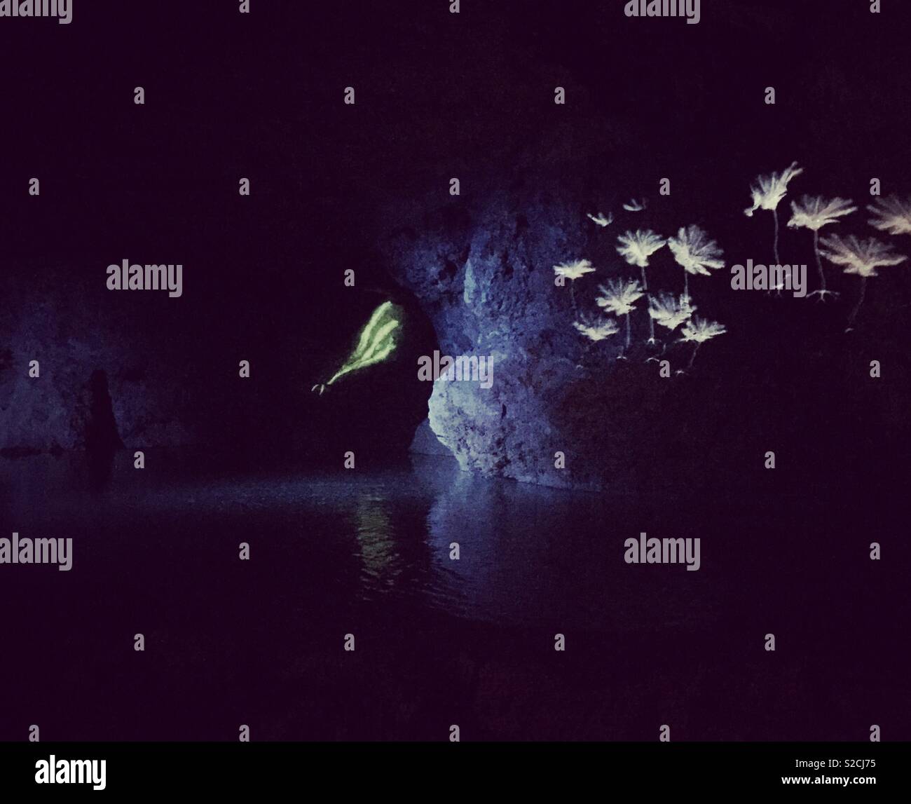 Show Cave Stock Photos & Show Cave Stock Images - Alamy