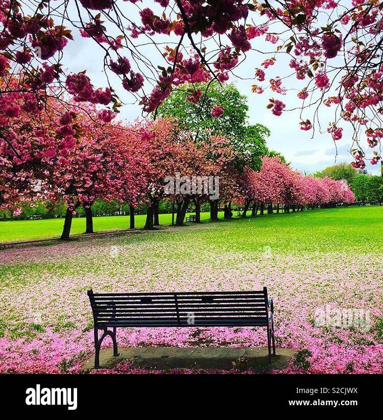 Medows hi-res stock photography and images - Alamy