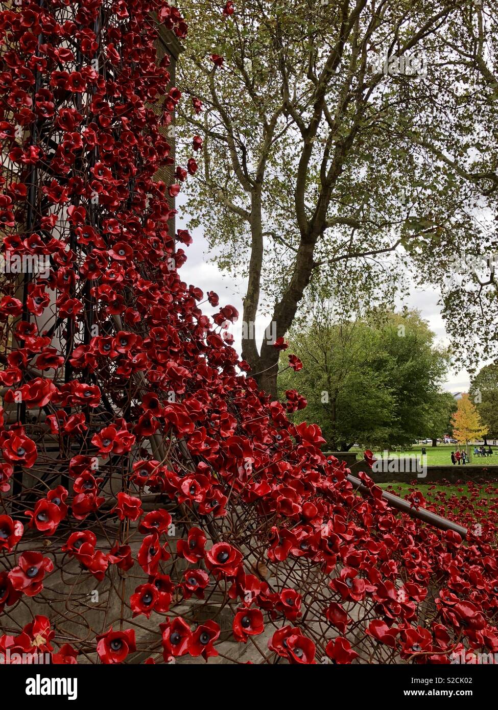 Poppy fall hi-res stock photography and images - Alamy