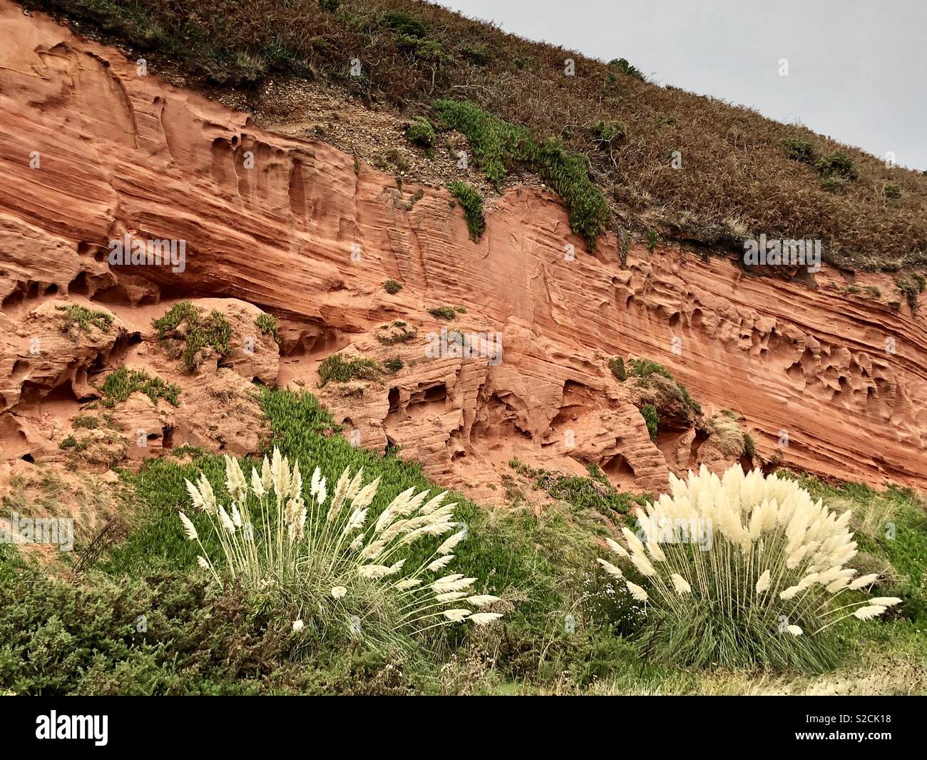 Dawlish devon uk hi-res stock photography and images - Alamy