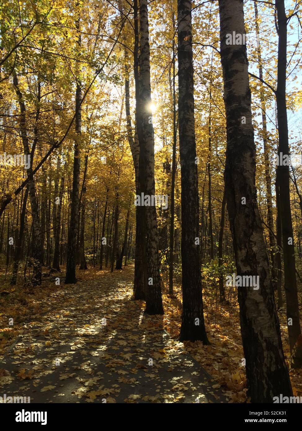 Fall in Moscow Stock Photo - Alamy