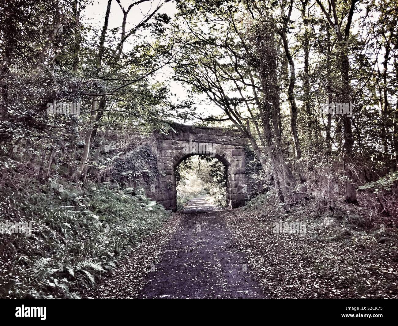 Cinder path whitby hi-res stock photography and images - Alamy