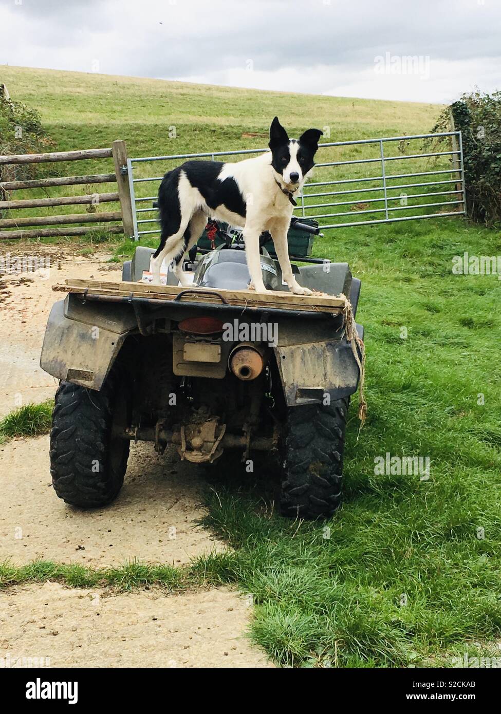 Ready to roll hi-res stock photography and images - Alamy