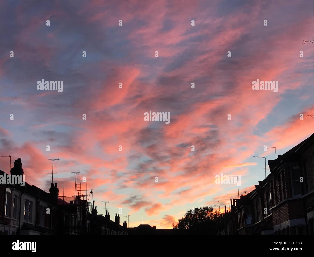 Pink sky at night Stock Photo - Alamy