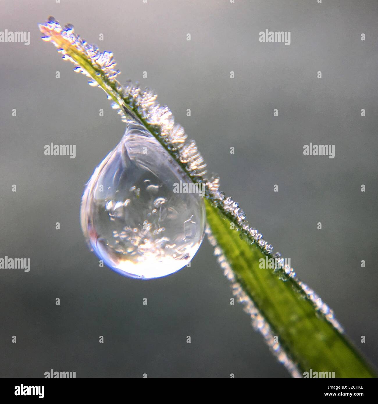 Ice drop hi-res stock photography and images - Alamy